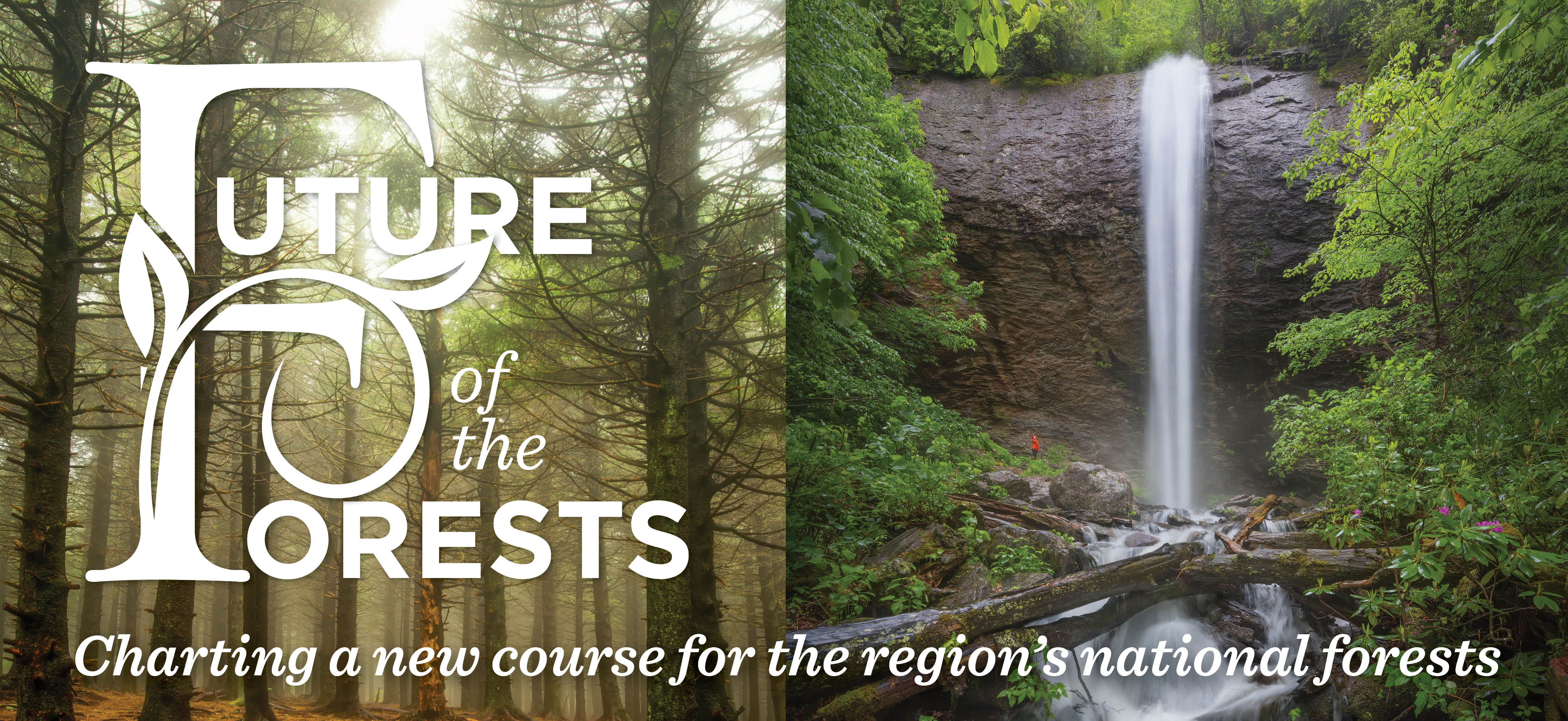 WNC Magazine | The Original Lifestyle Magazine of Asheville, NC