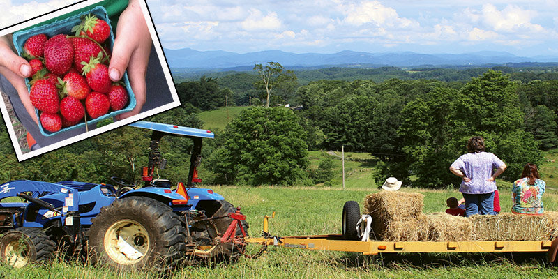 ASAP Farm Tour | WNC Magazine